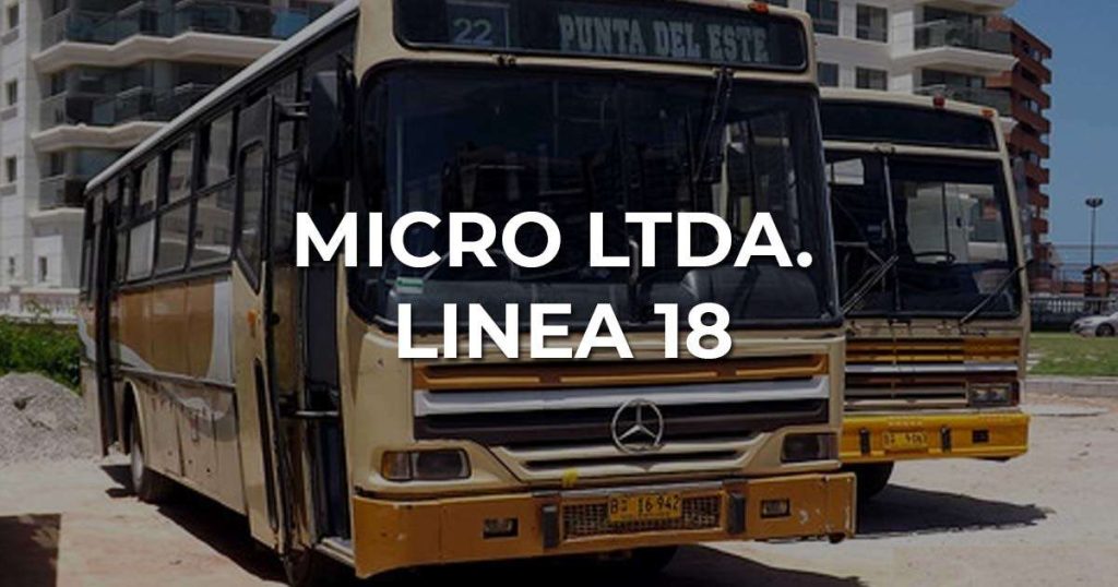 Micro Ltda - Línea 18 - Pan de Azucar Web