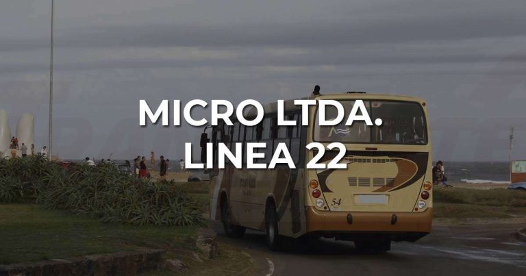 Micro Ltda - Línea 22 - Pan de Azucar Web